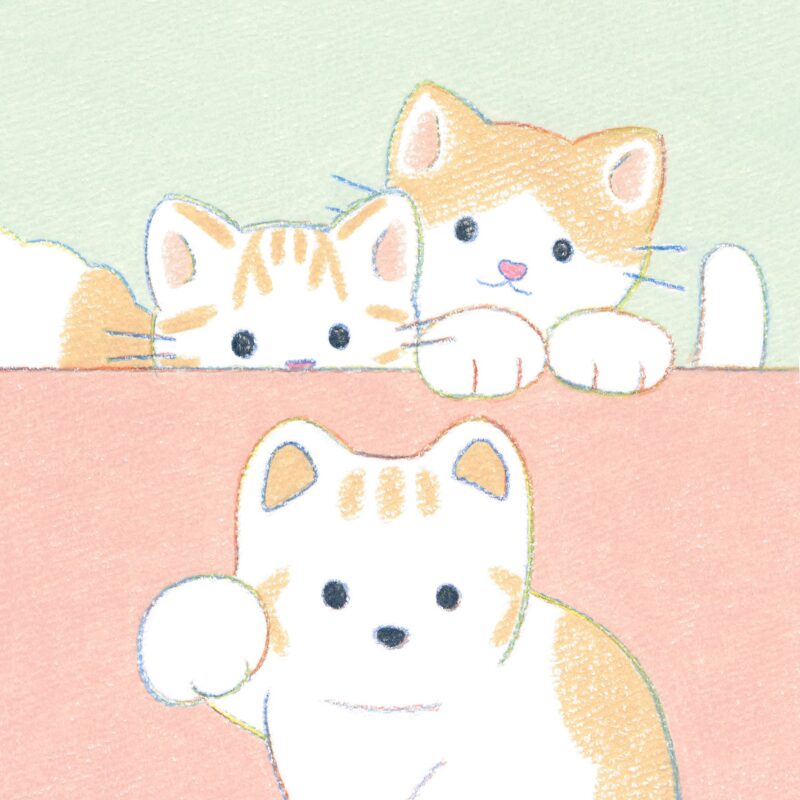 STUDIO 894 | Interviews Vol.01 てらおかなつみさん