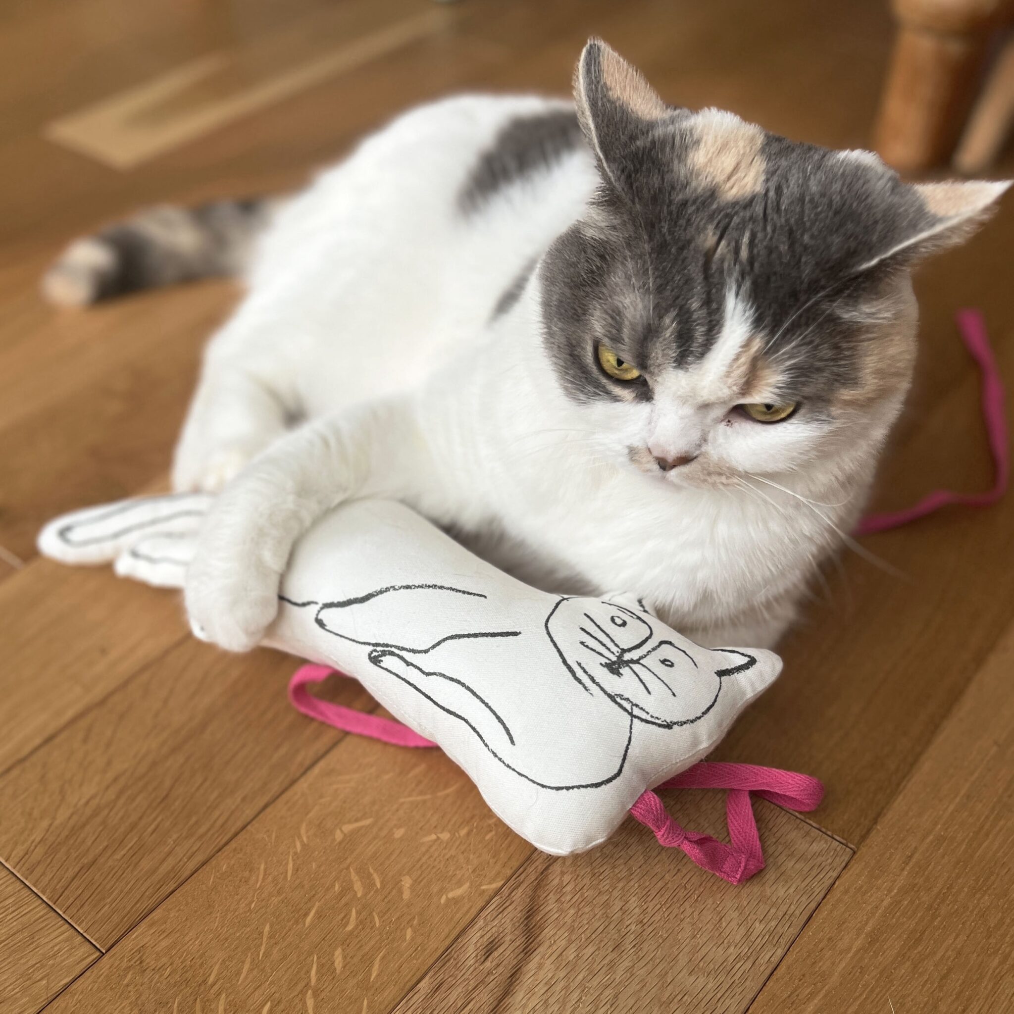 STUDIO 894 | 「CAT CIRCUS」開催のお知らせ